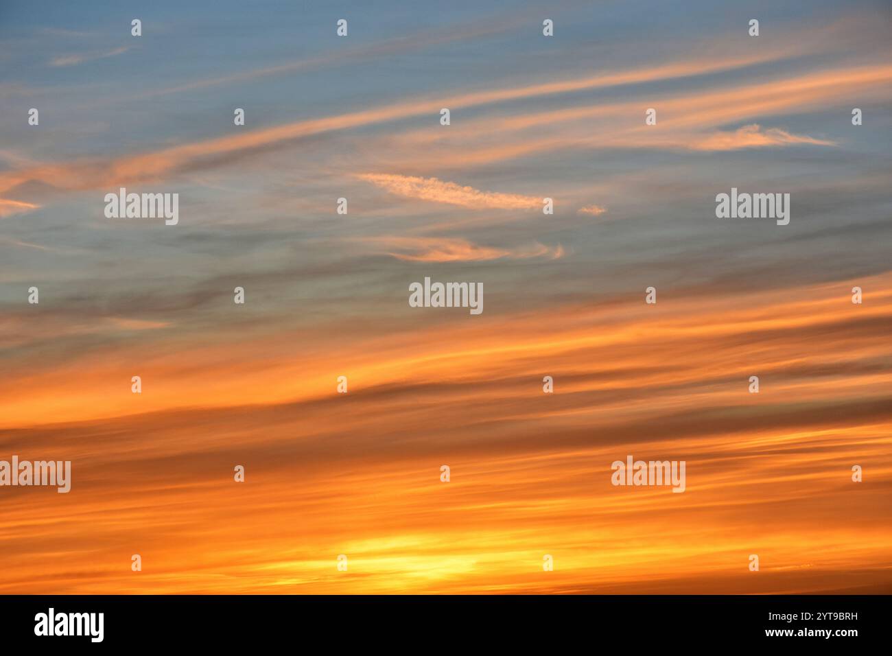 Golden hour in nature hi-res stock photography and images - Alamy