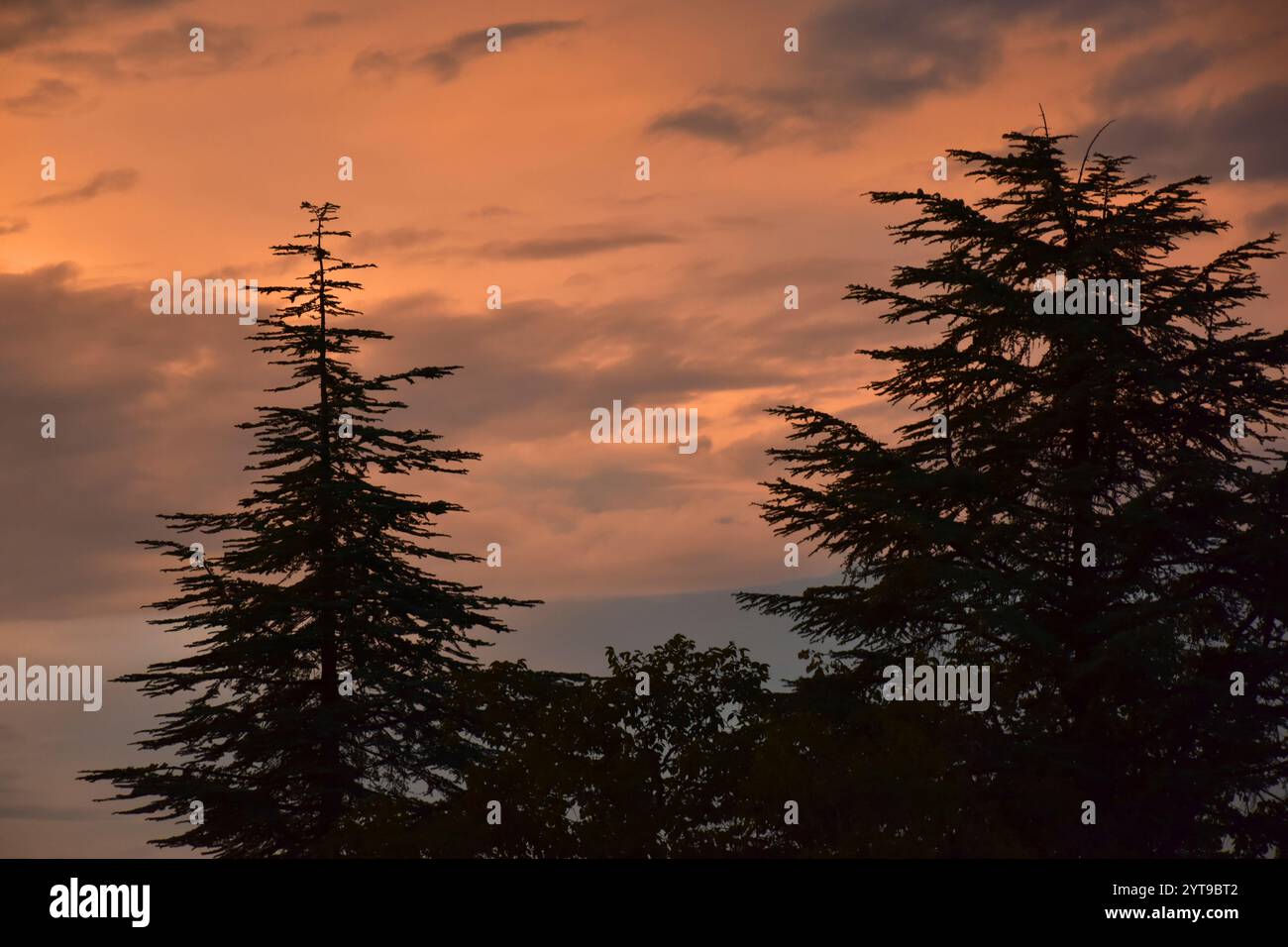Chianti night hi-res stock photography and images - Alamy
