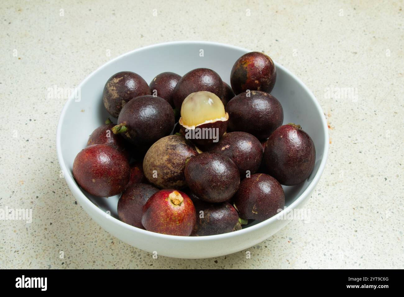 Plinia pinnata hi-res stock photography and images - Alamy