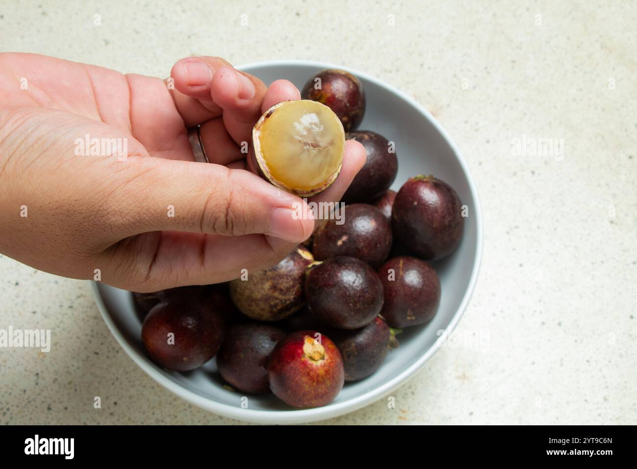 Closeup view of a hand showing a peeled betel nut or matoa fruit, a ...