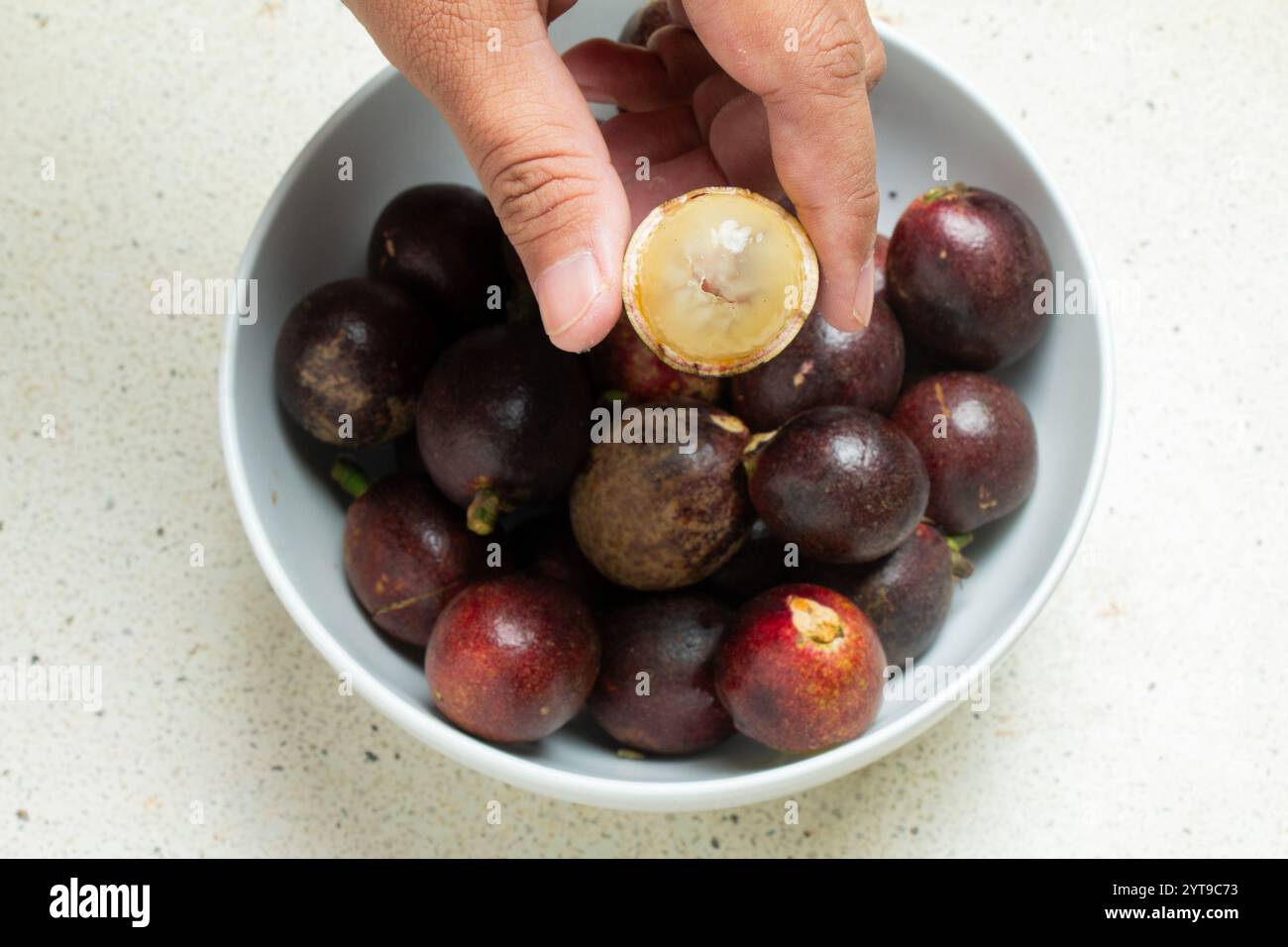 Closeup view of a hand showing a peeled betel nut or matoa fruit, a ...