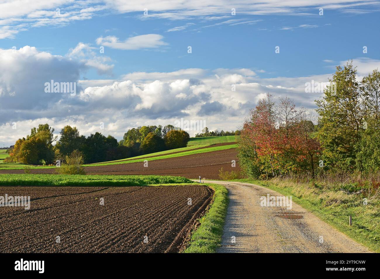 Field path in hilly field landscape hi-res stock photography and images ...