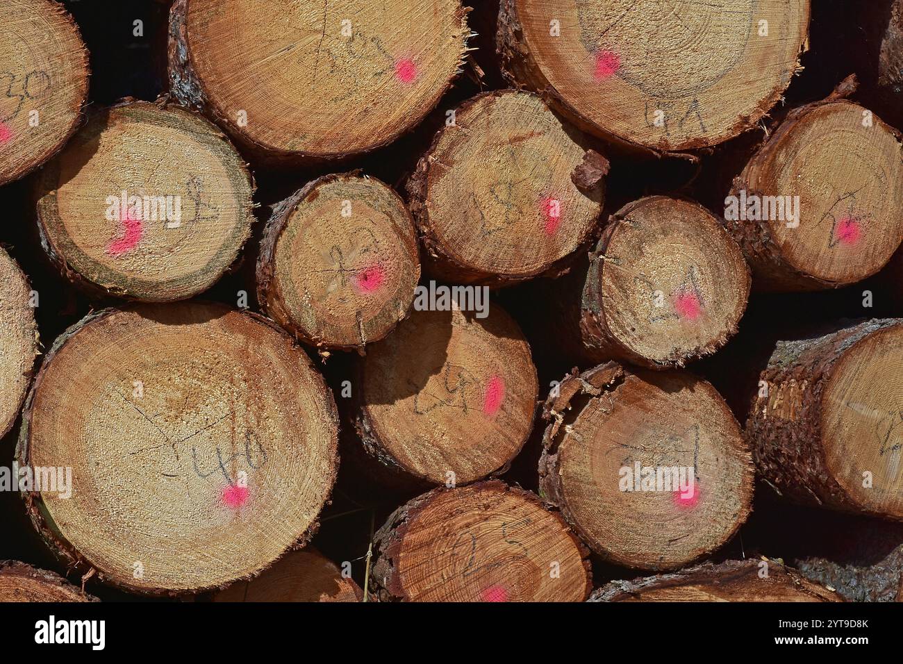 Number markings hi-res stock photography and images - Alamy