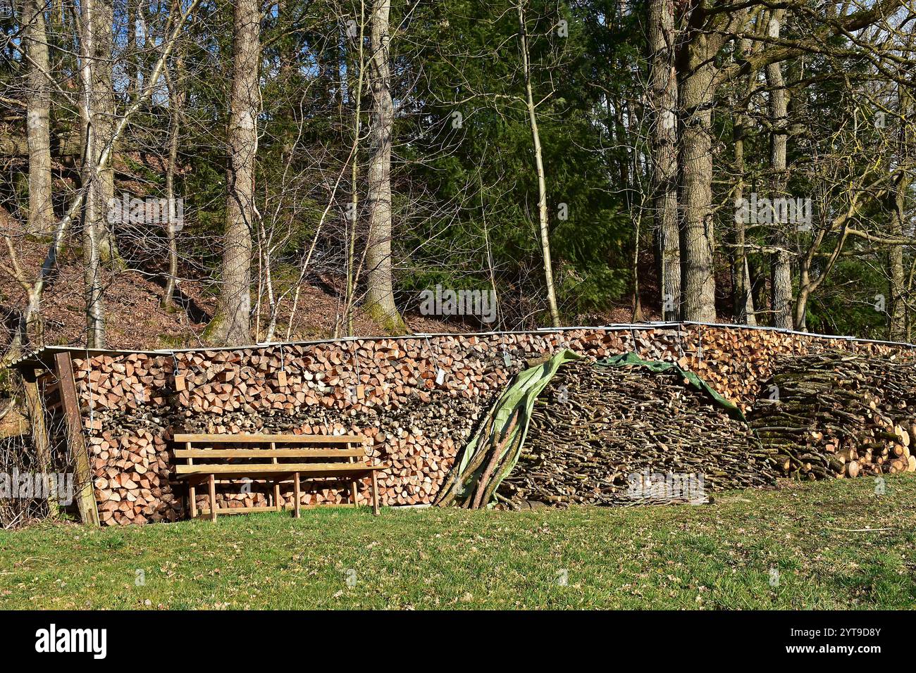 Wood storage at the edge of the forest Stock Photo - Alamy