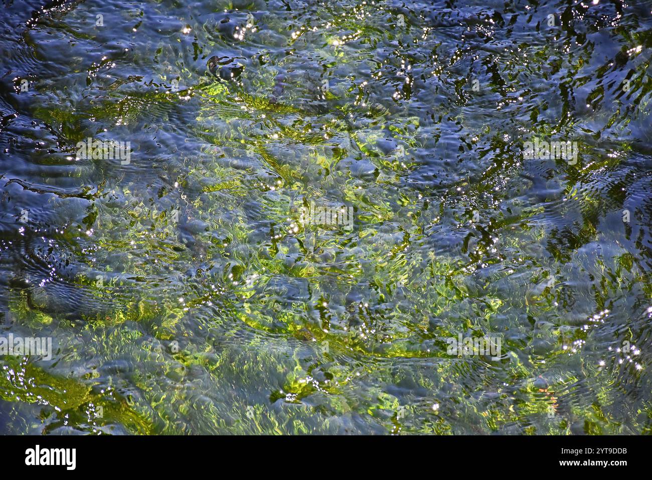 Abstract nature - light reflections, mirroring and the green of washed ...