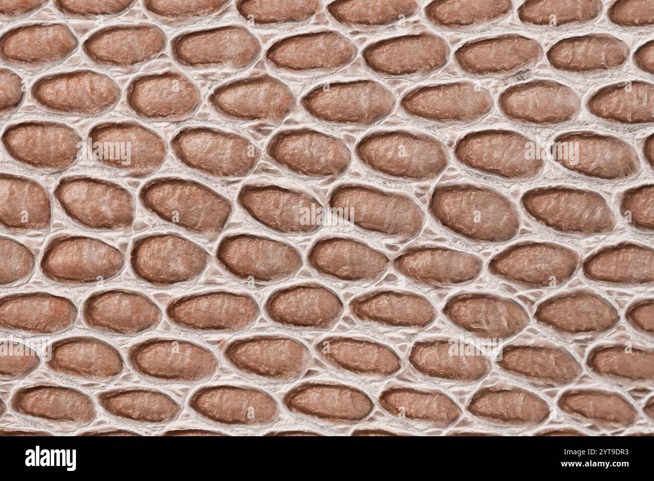 Oval patterns hi-res stock photography and images - Alamy