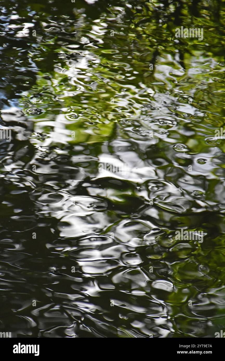 Distort nature hi-res stock photography and images - Alamy