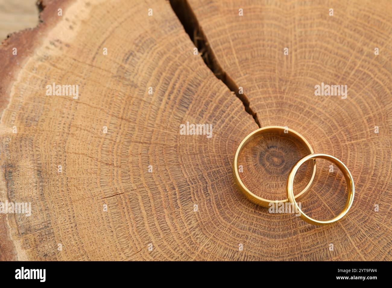 Beautiful golden wedding rings on tree stump, top view. Space for text ...