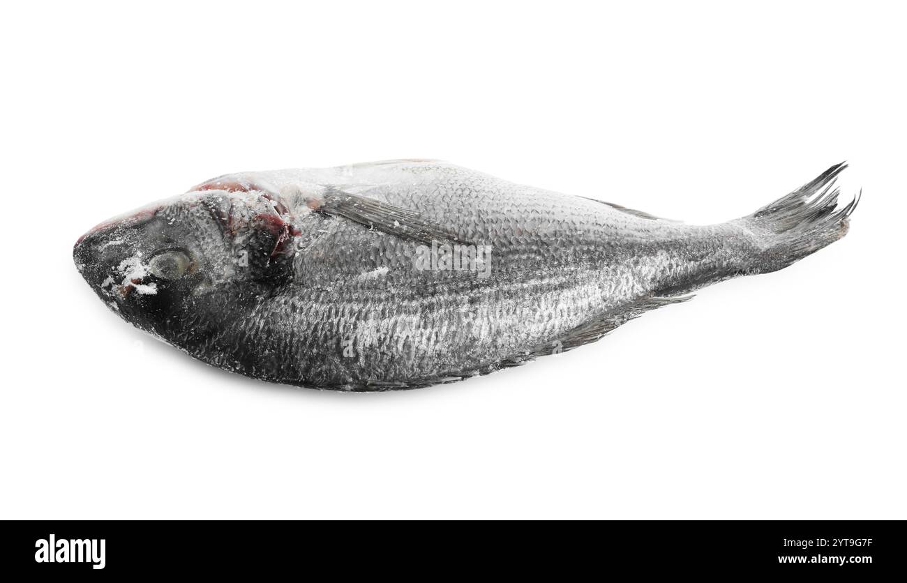 One frozen carp fish isolated on white Stock Photo - Alamy