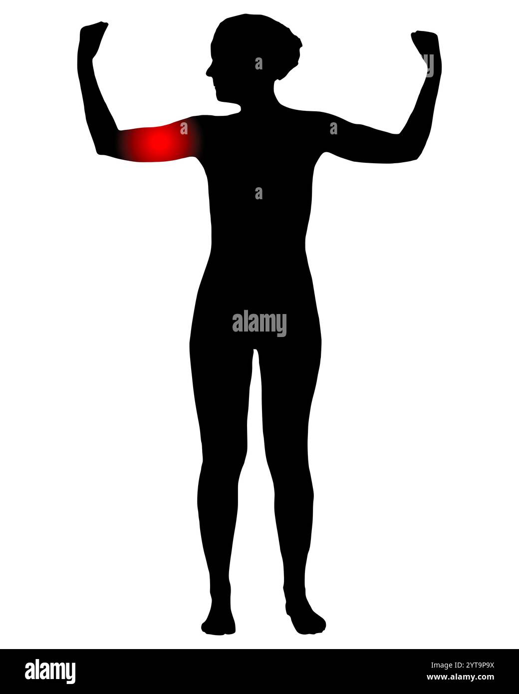 Upper front Cut Out Stock Images & Pictures - Alamy