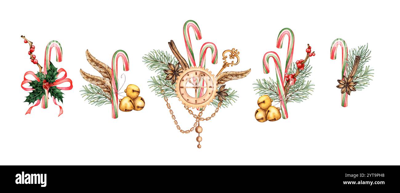 Candy cane, holiday flowers sweetness, cinnamon and fir branch, pine ...