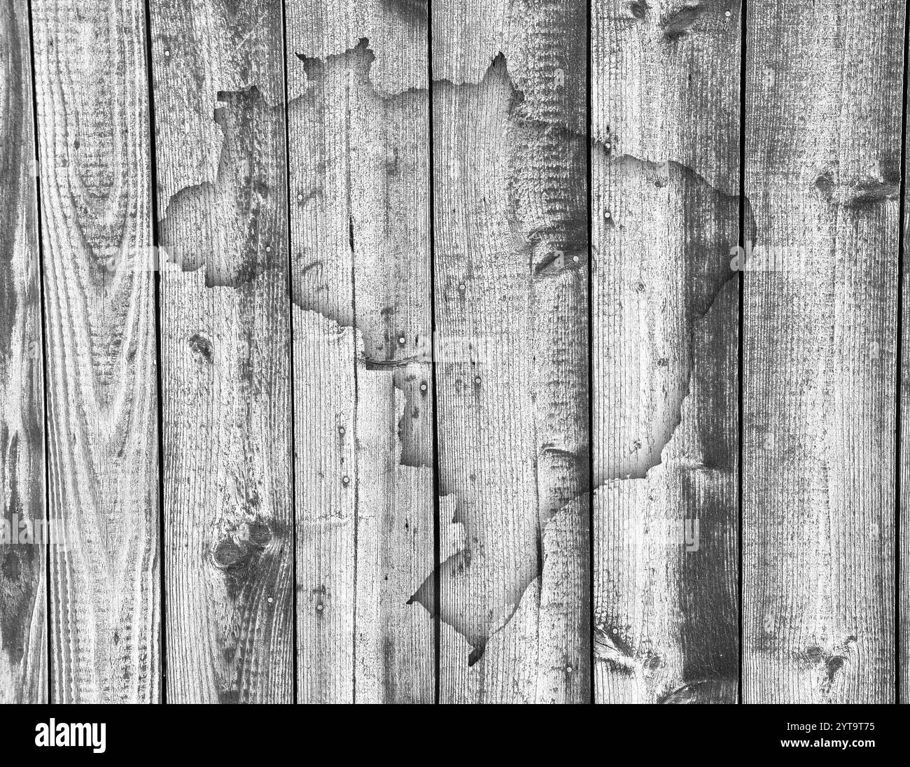 Brazil wood Black and White Stock Photos & Images - Alamy