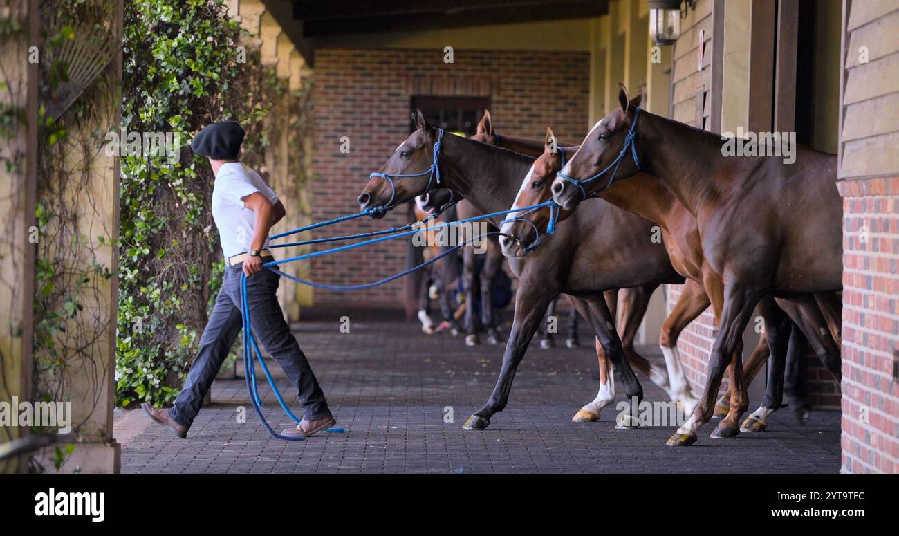 RELEASE DATE: December 10, 2024. TITLE: Polo. STUDIO: Netflix. DIRECTOR ...