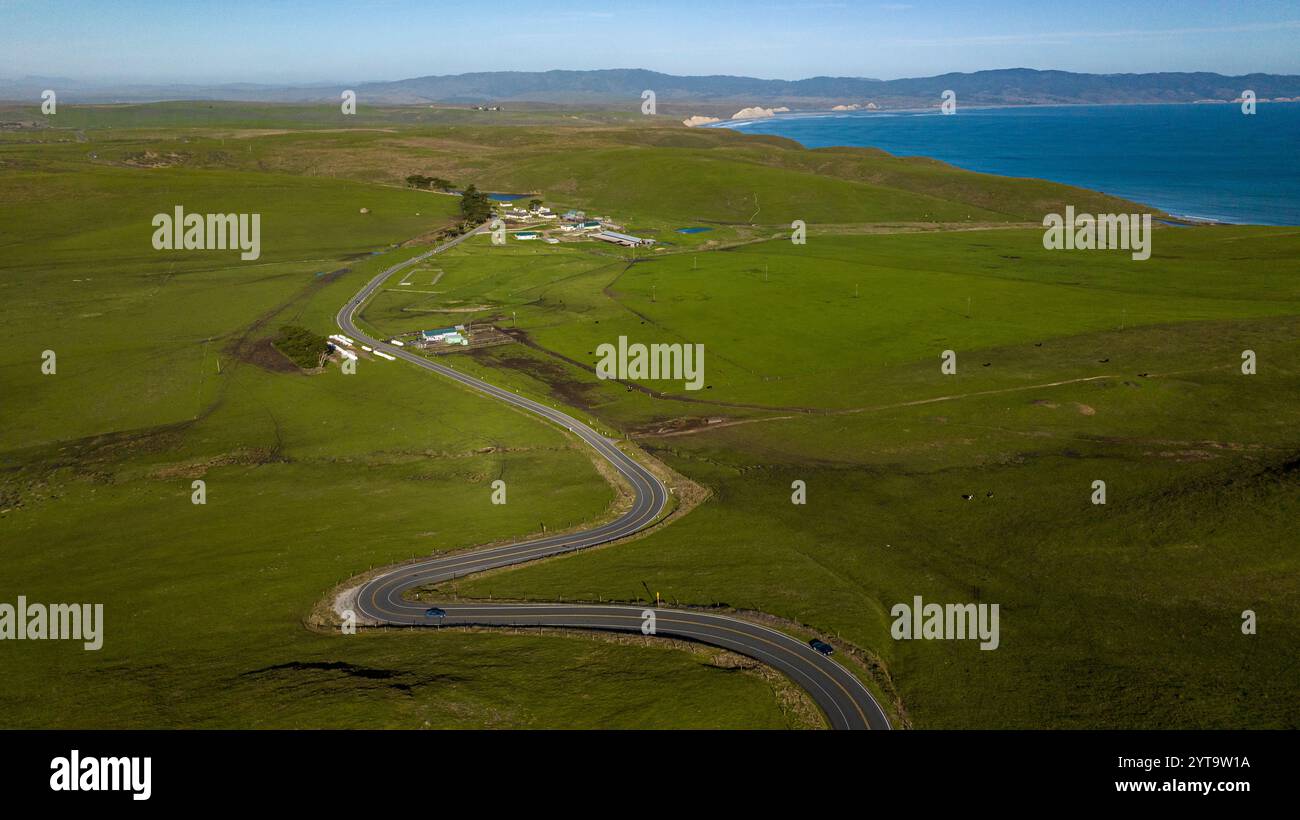 FEBRUARY 2023, POINT REYES NATIONAL SEASHORE, CALIFORNIA, USA - birds ...