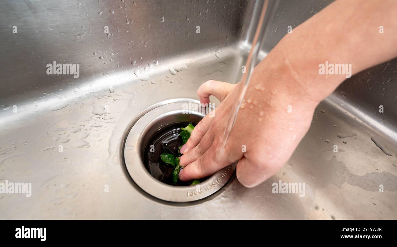 Removing food waste from a kitchen sink disposer under running water ...