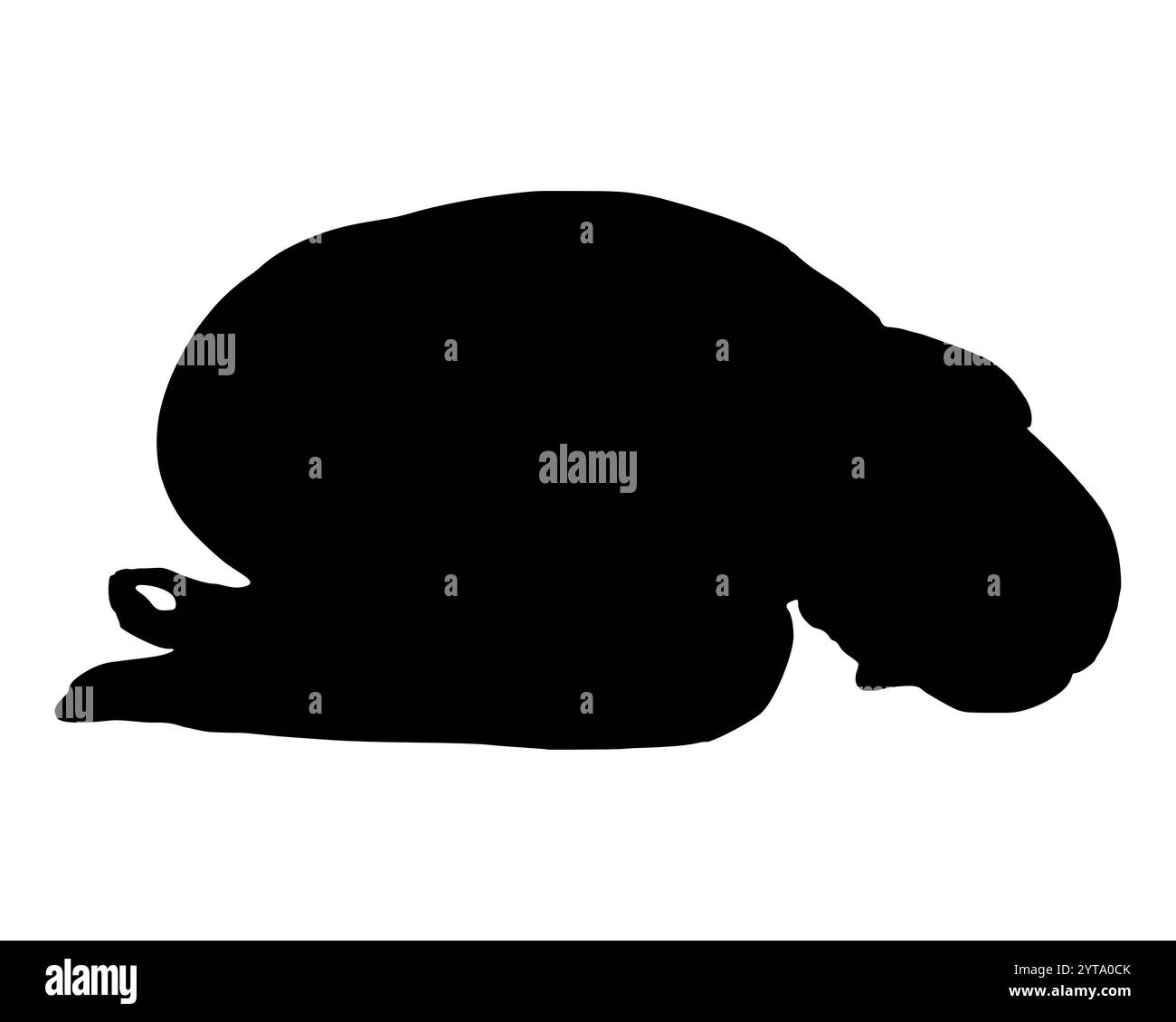 Body muscle woman Black and White Stock Photos & Images - Alamy