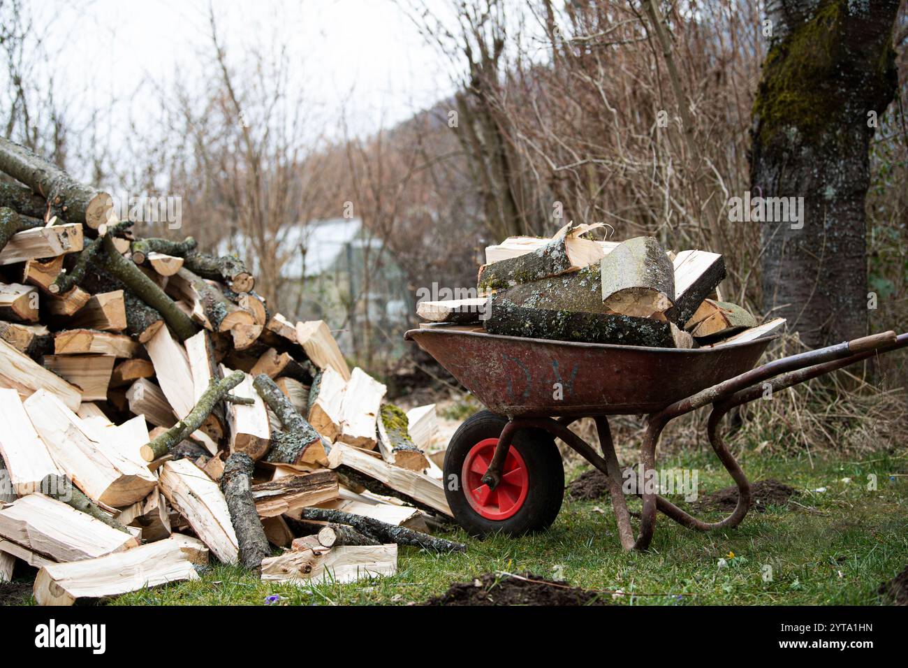 Log wheelbarrow wood hi-res stock photography and images - Alamy