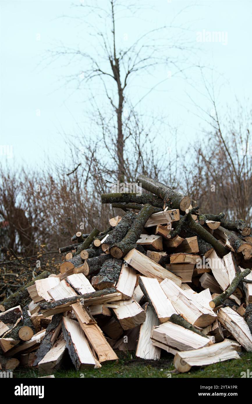 Wood pile garden hi-res stock photography and images - Alamy