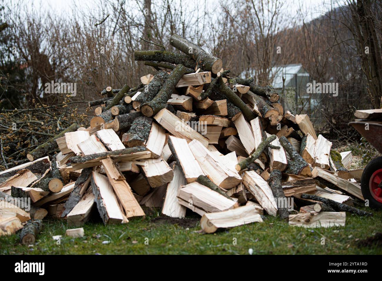 Log of stovewood hi-res stock photography and images - Alamy