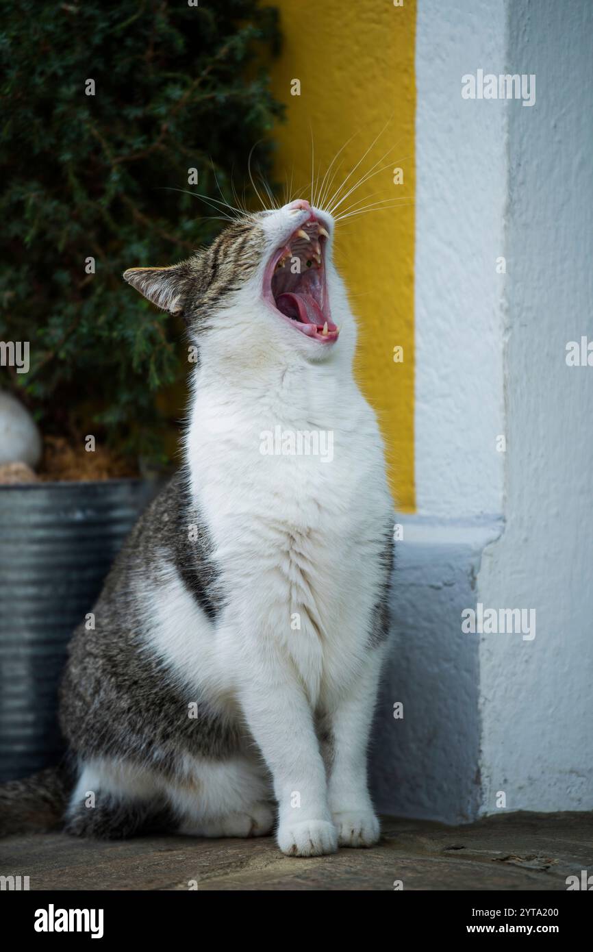 Yawning farmer hi-res stock photography and images - Alamy