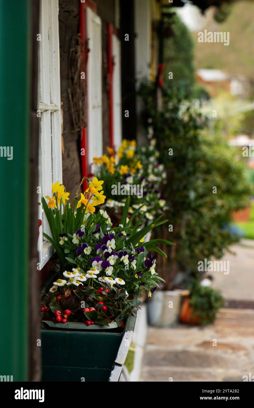 Wooden flower boxes hi-res stock photography and images - Alamy