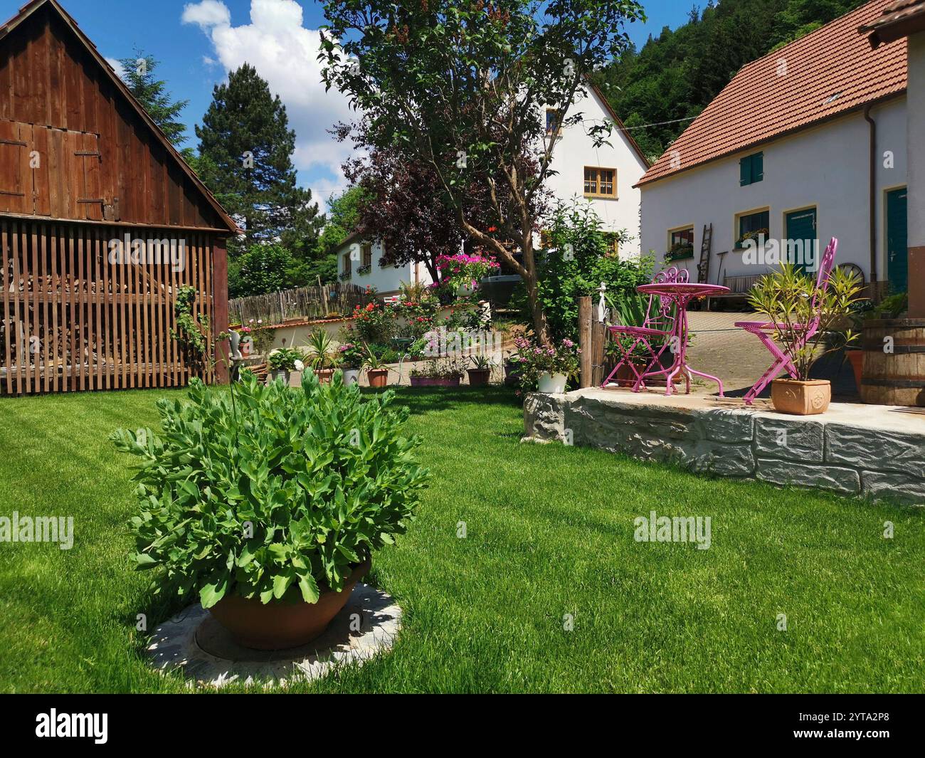 Freshly laid turf Stock Photo - Alamy