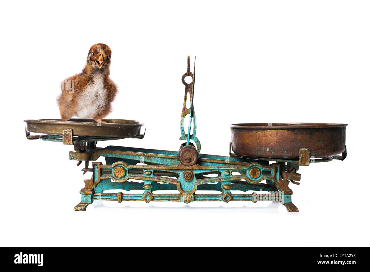 Scale measurements hi-res stock photography and images - Alamy