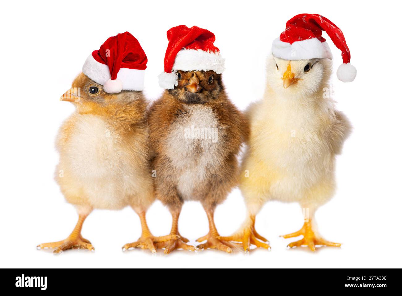 With caps Cut Out Stock Images & Pictures - Alamy