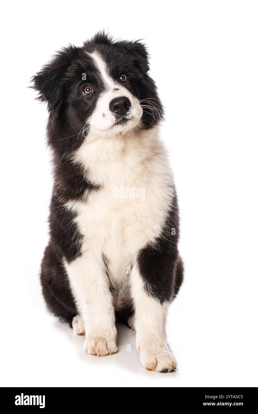 Looking upward Cut Out Stock Images & Pictures - Alamy