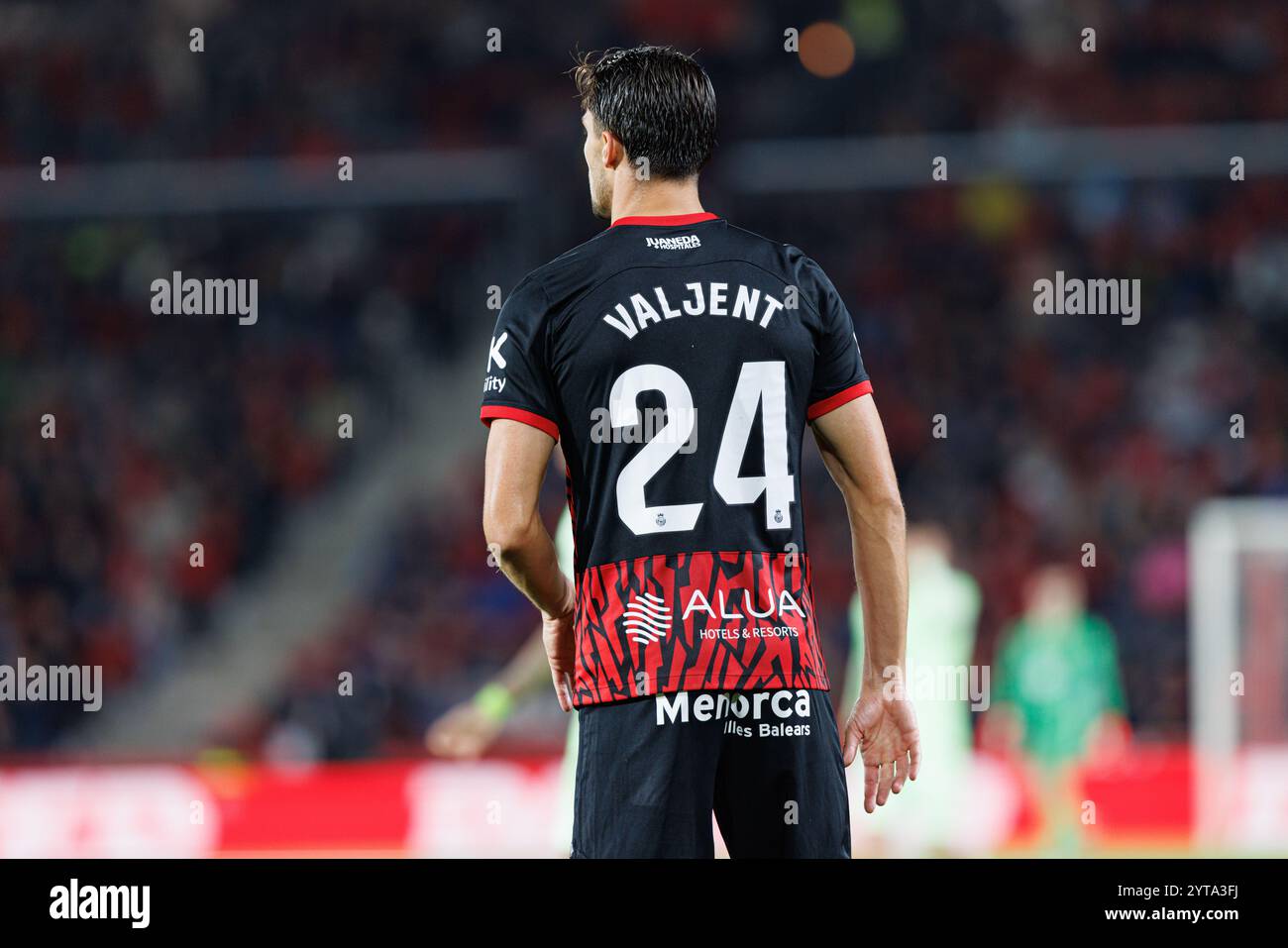 Martin Valjent seen during LaLiga EA SPORTS game between teams of RCD ...