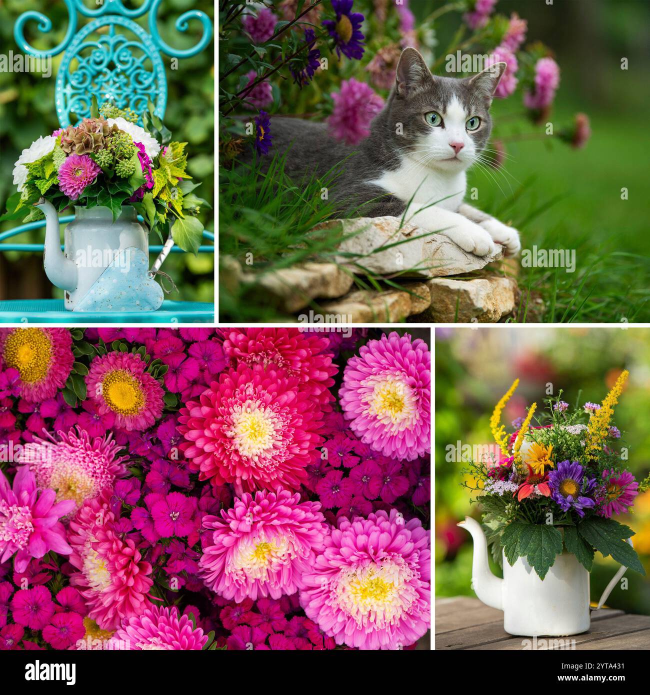 Country life collage Stock Photo - Alamy