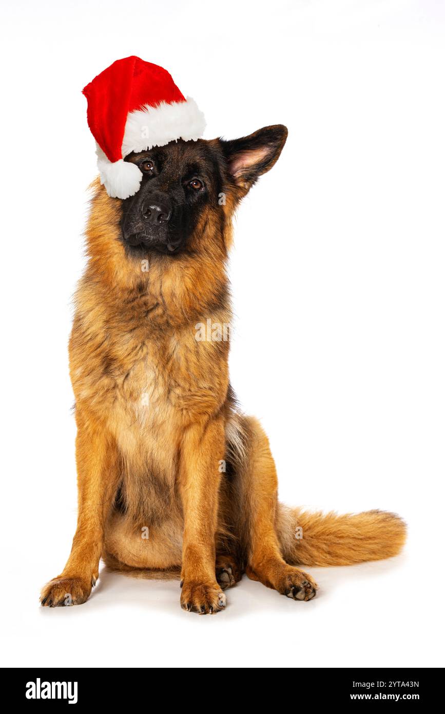 German cap hi-res stock photography and images - Alamy