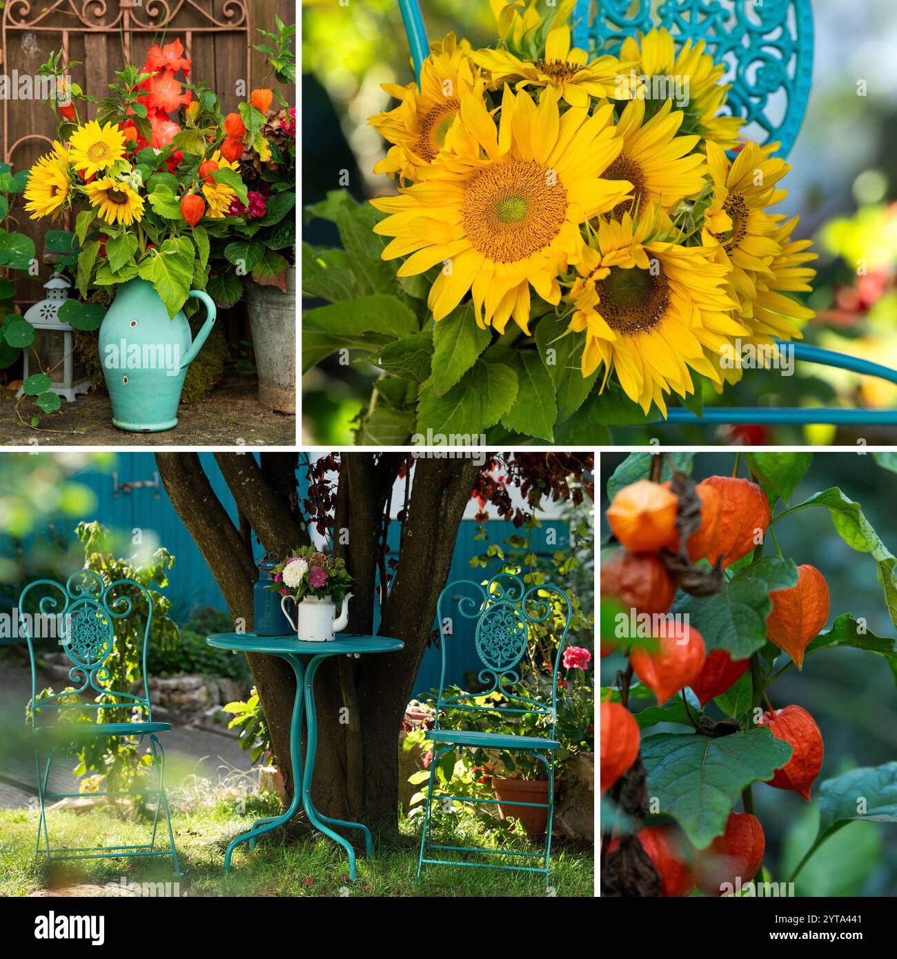 Cherry collage hi-res stock photography and images - Alamy