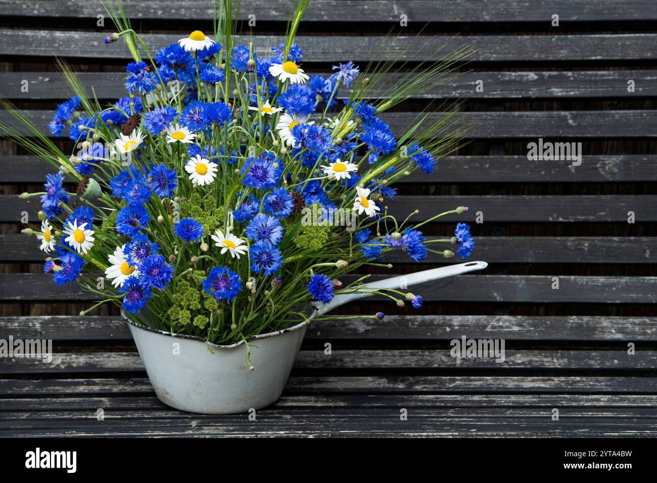 Cornflower bouquet with daisies Stock Photo - Alamy