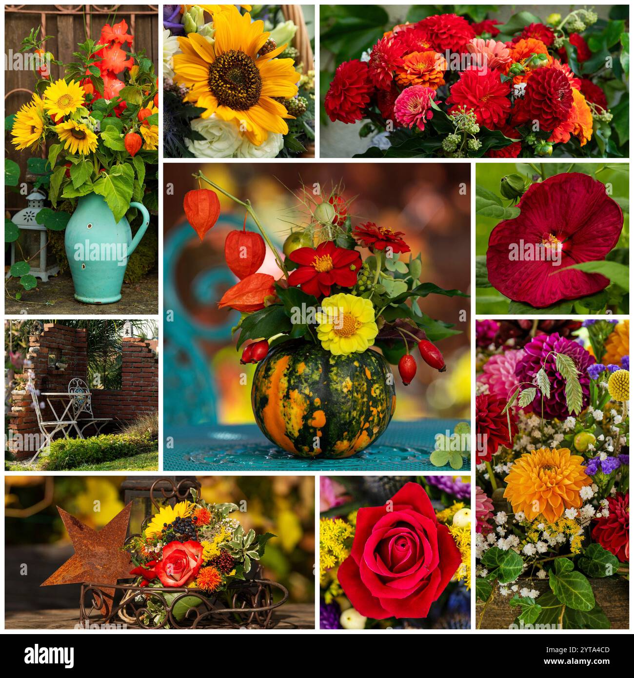 Fall collage hi-res stock photography and images - Alamy