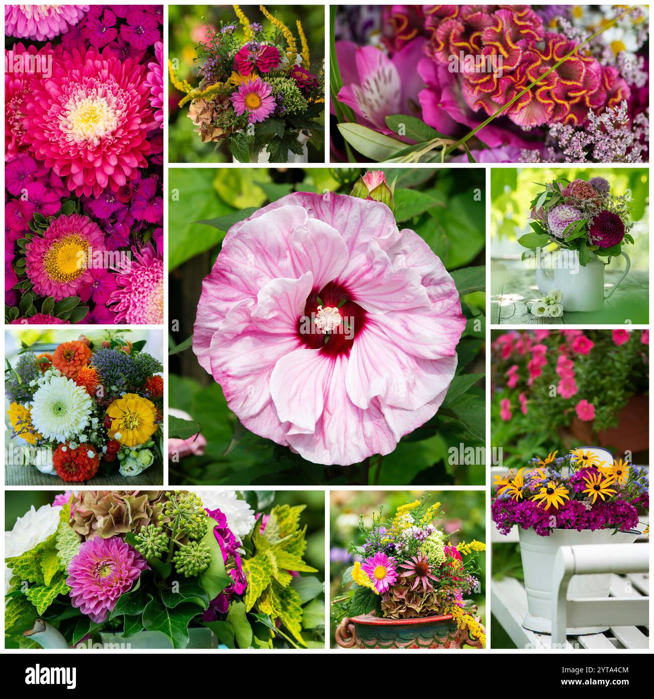 Summer flowers collage Stock Photo - Alamy