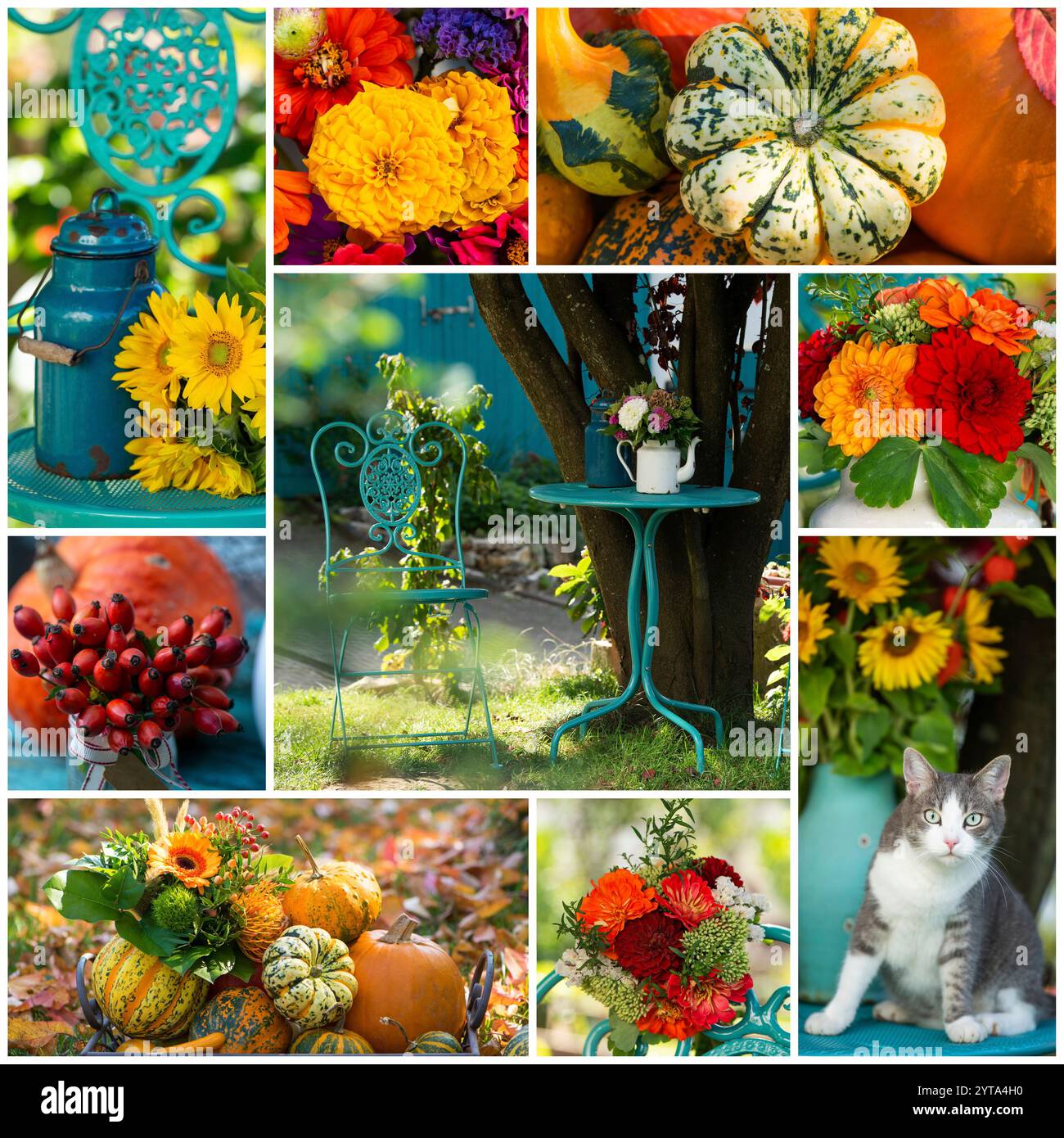 Late Cut Out Stock Images & Pictures - Alamy