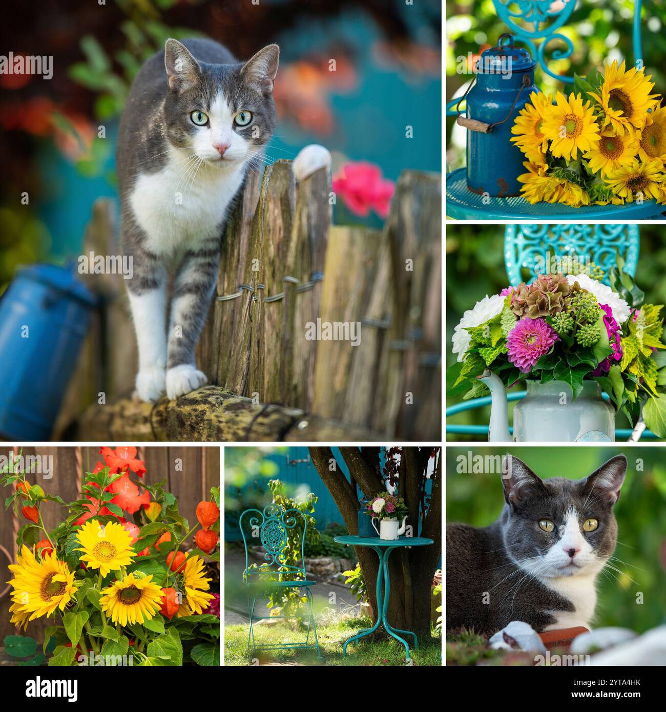 Country life collage Stock Photo - Alamy