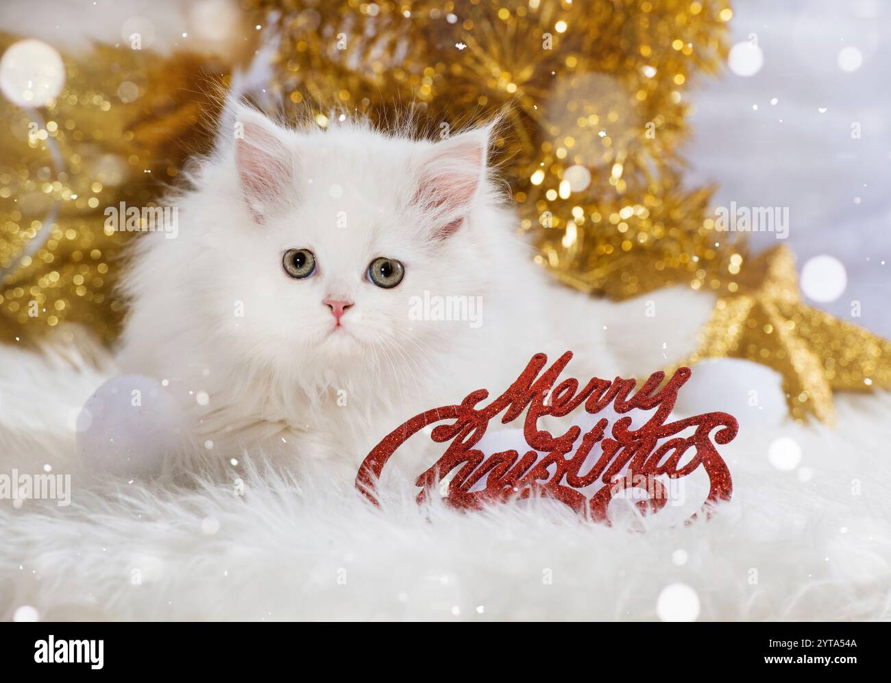 Nikolaus boot, christmas hi-res stock photography and images - Alamy