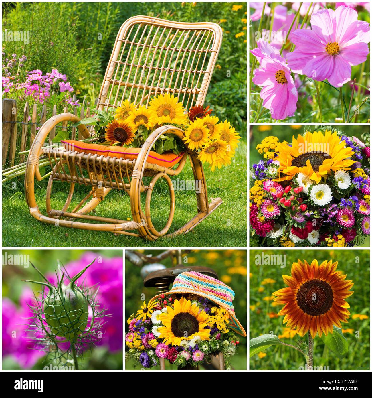 Summer flowers collage Stock Photo - Alamy