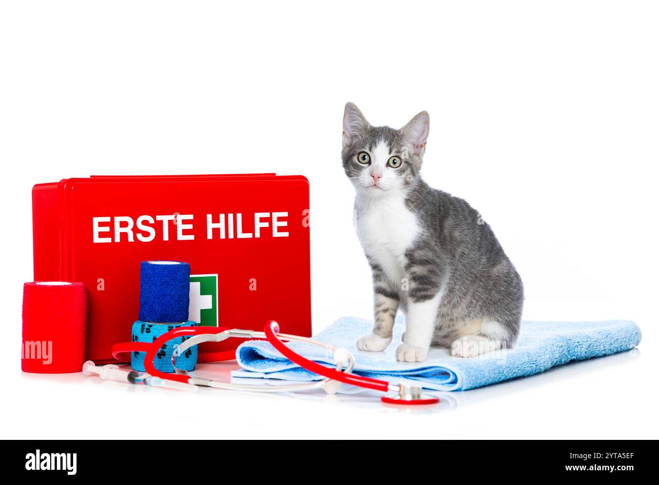 Kit aid cat hi-res stock photography and images - Alamy