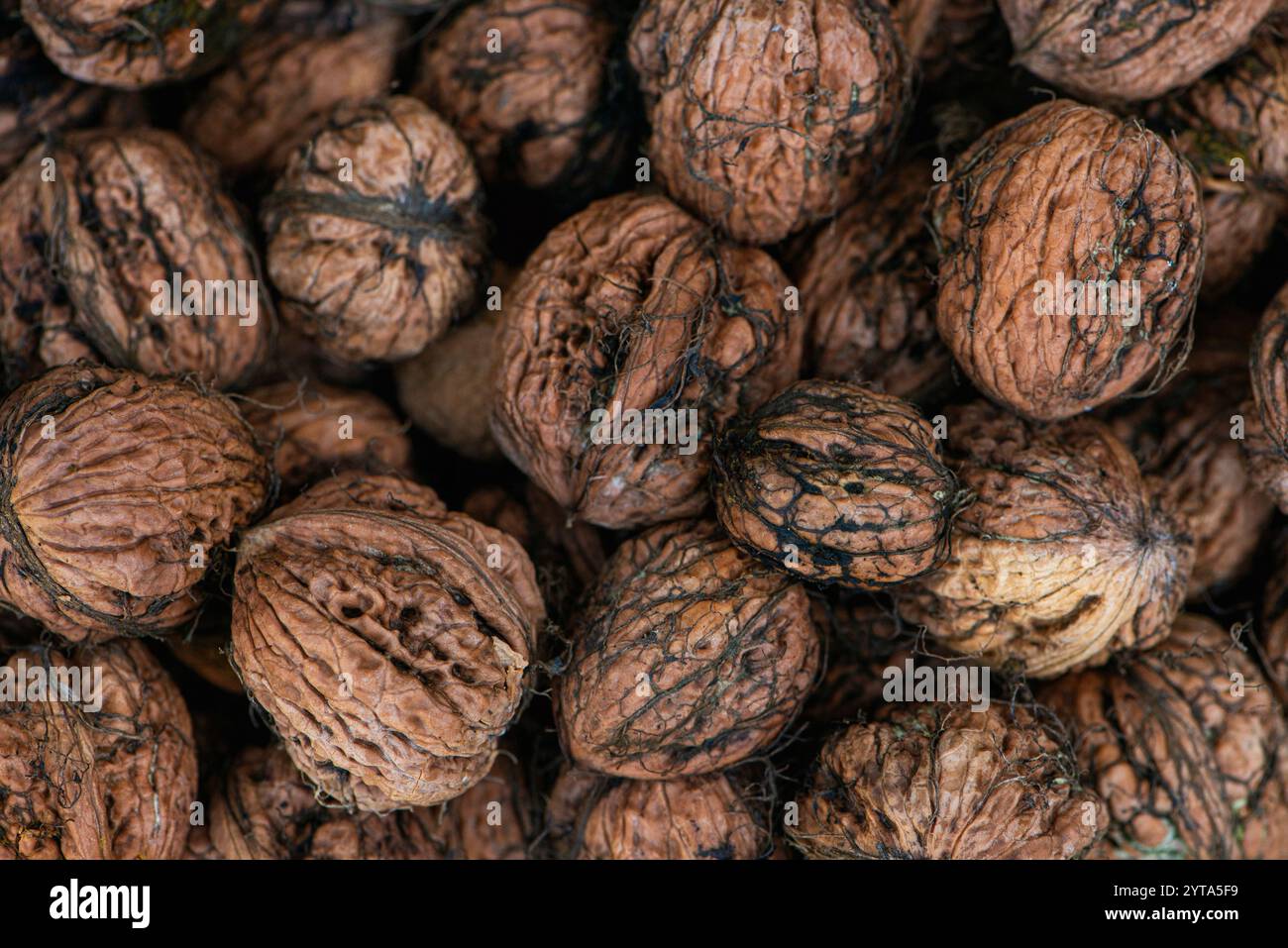 Fresh walnuts hi-res stock photography and images - Alamy