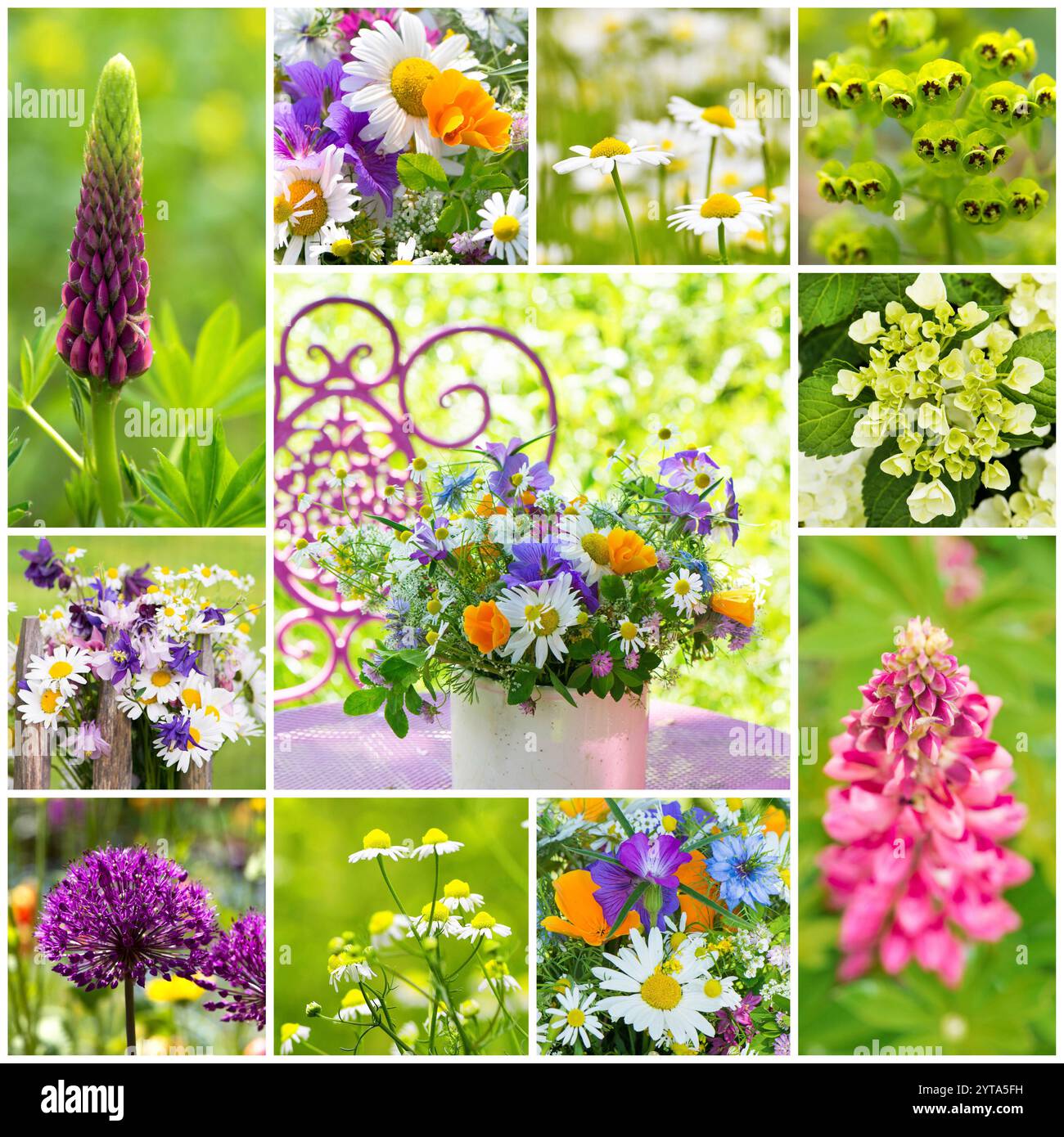 Summer bouquet wild flowers Cut Out Stock Images & Pictures - Alamy