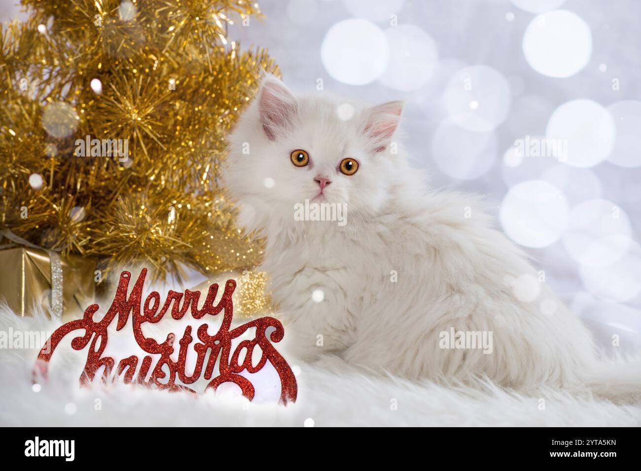 Nikolaus boot, christmas hi-res stock photography and images - Alamy