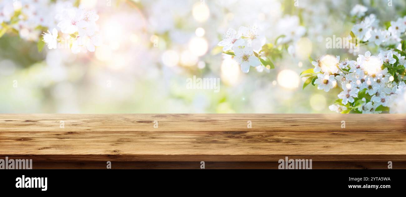 Sunny spring background with white flowers and empty wooden table for a ...