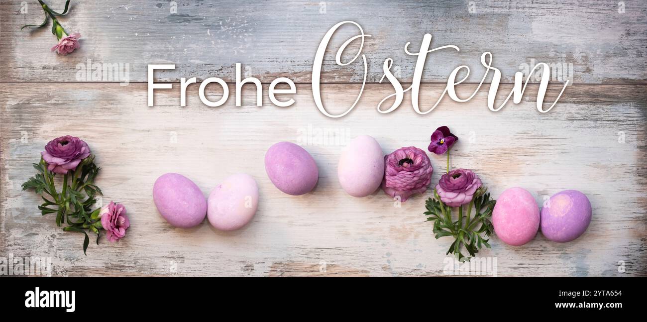 Happy easter greetings with violet easter eggs and purple ranunculus on ...