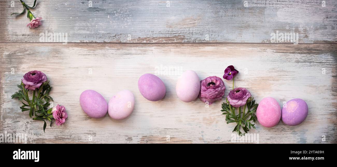 Happy easter greetings with violet easter eggs and purple ranunculus on ...