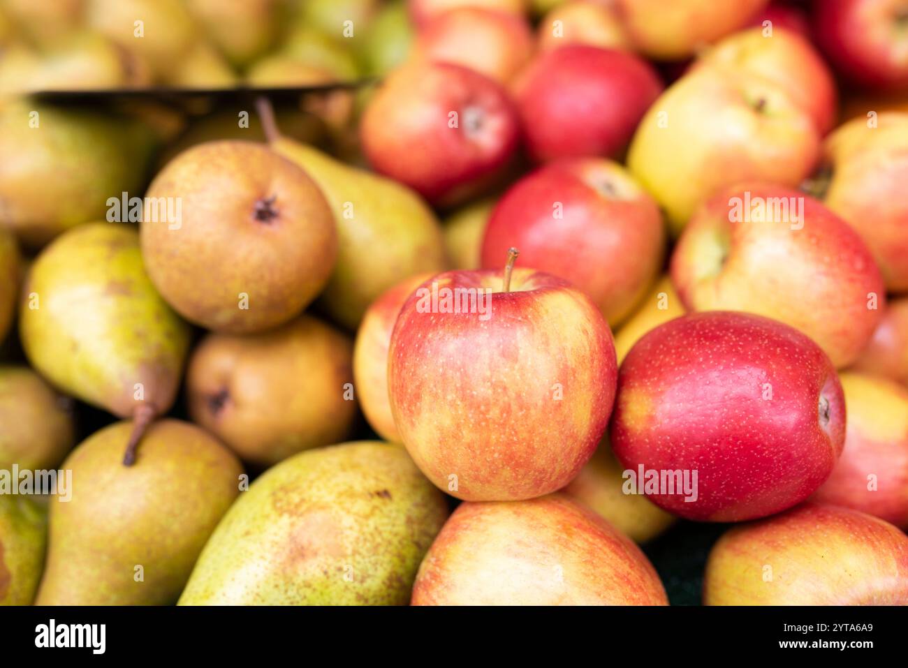 Freshly harvested apples and pears in a marketplace. Healthy regional ...