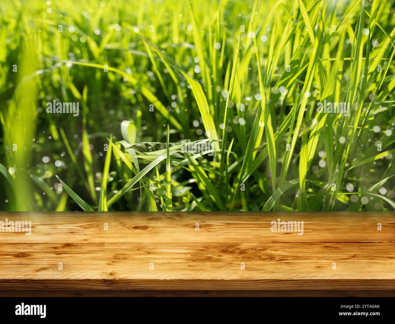 Flowering grasses in spring with pollen and empty wooden counter ...