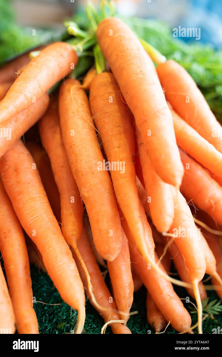 Freshly harvested carrots at weekly market. Gastronomy background with ...